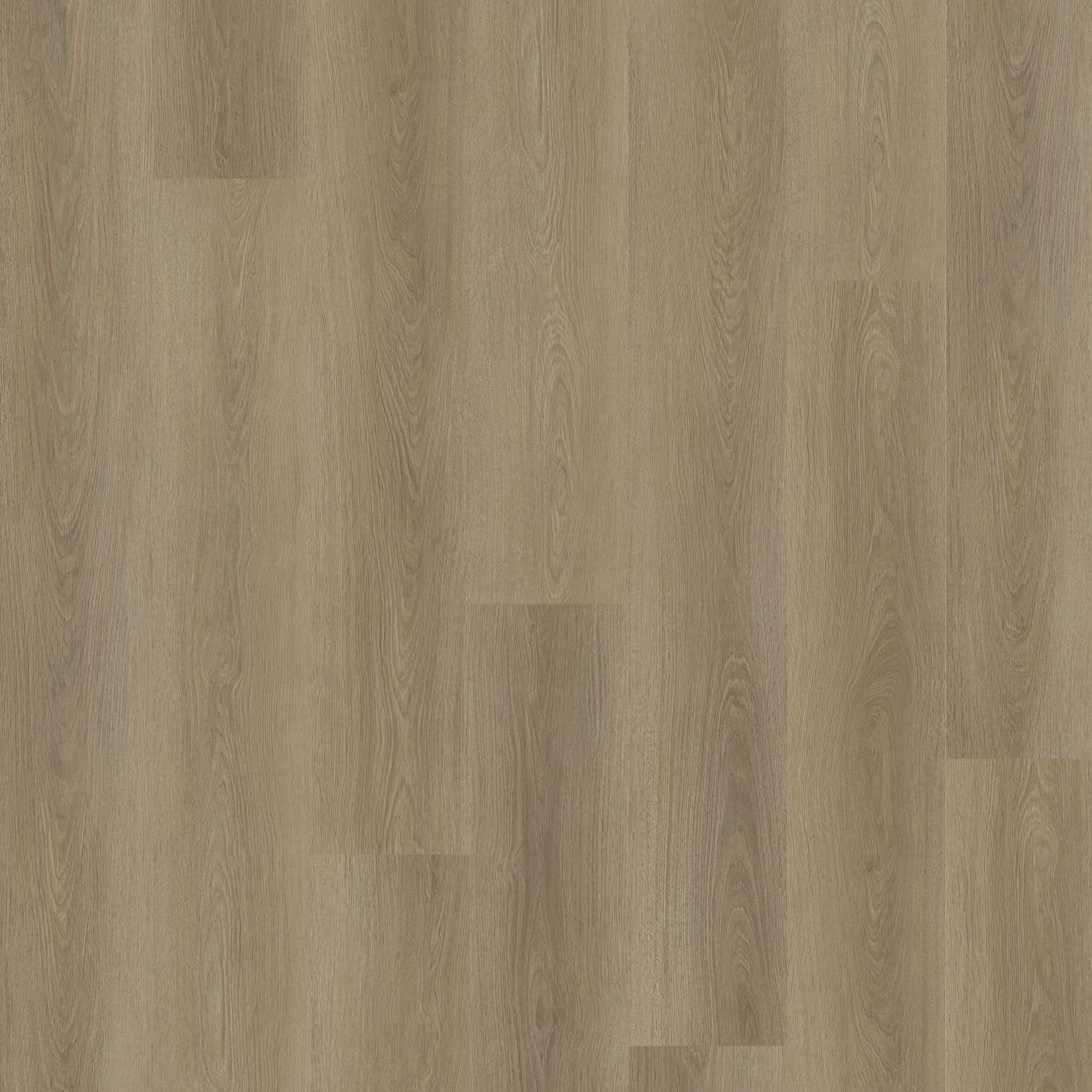 Planchers 1867 Vinyl Planks Evolution Origin Series Sarna Glue Down 6" X 48" - Shopflooring.ca